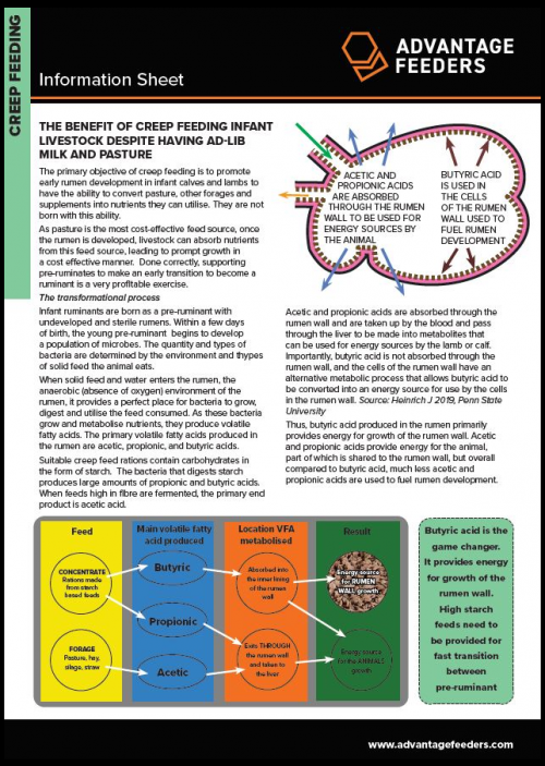 Creep Feeding Cattle - Advantage Feeders