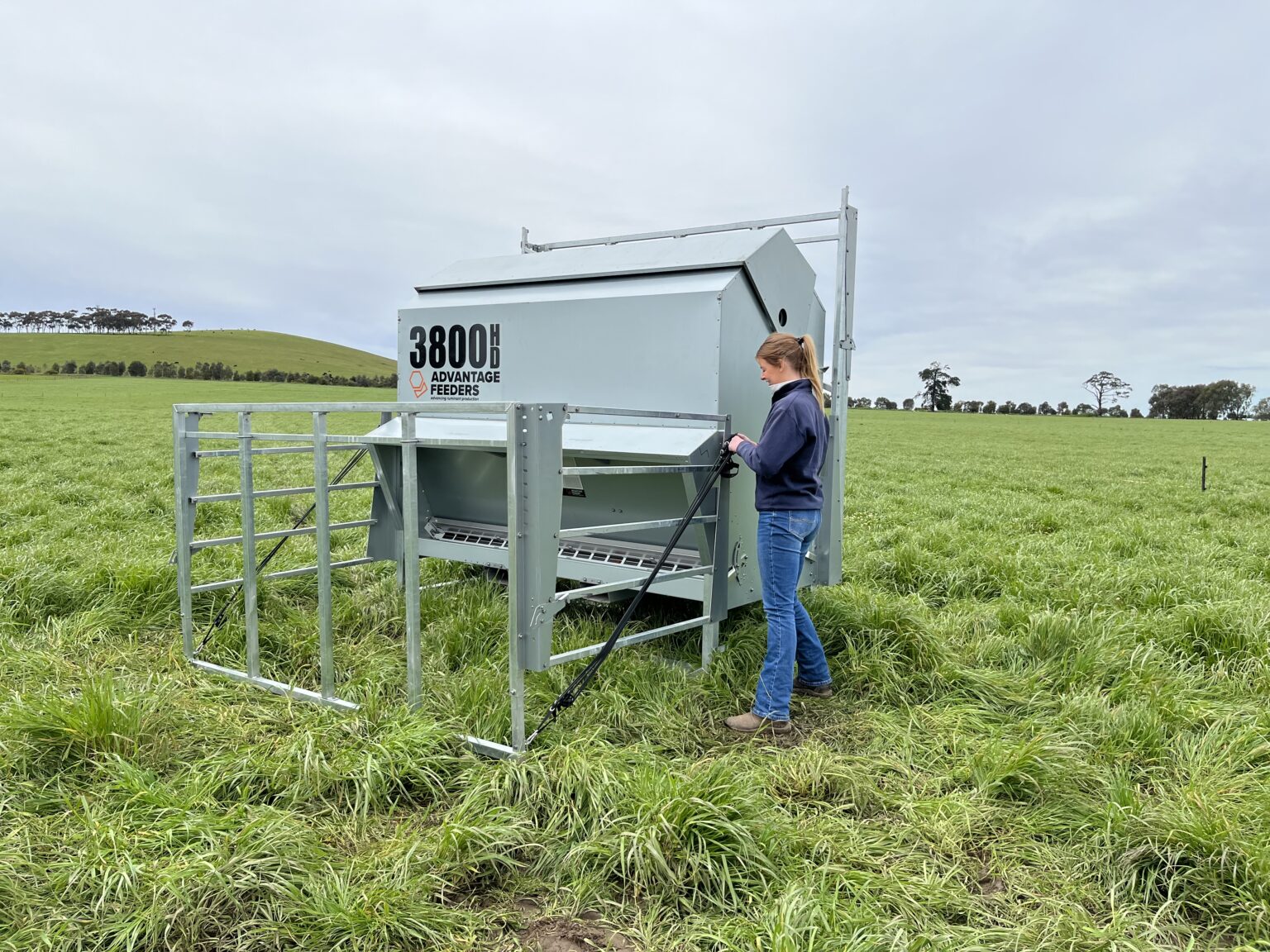 Calf Creep Gate Wide - Advantage Feeders