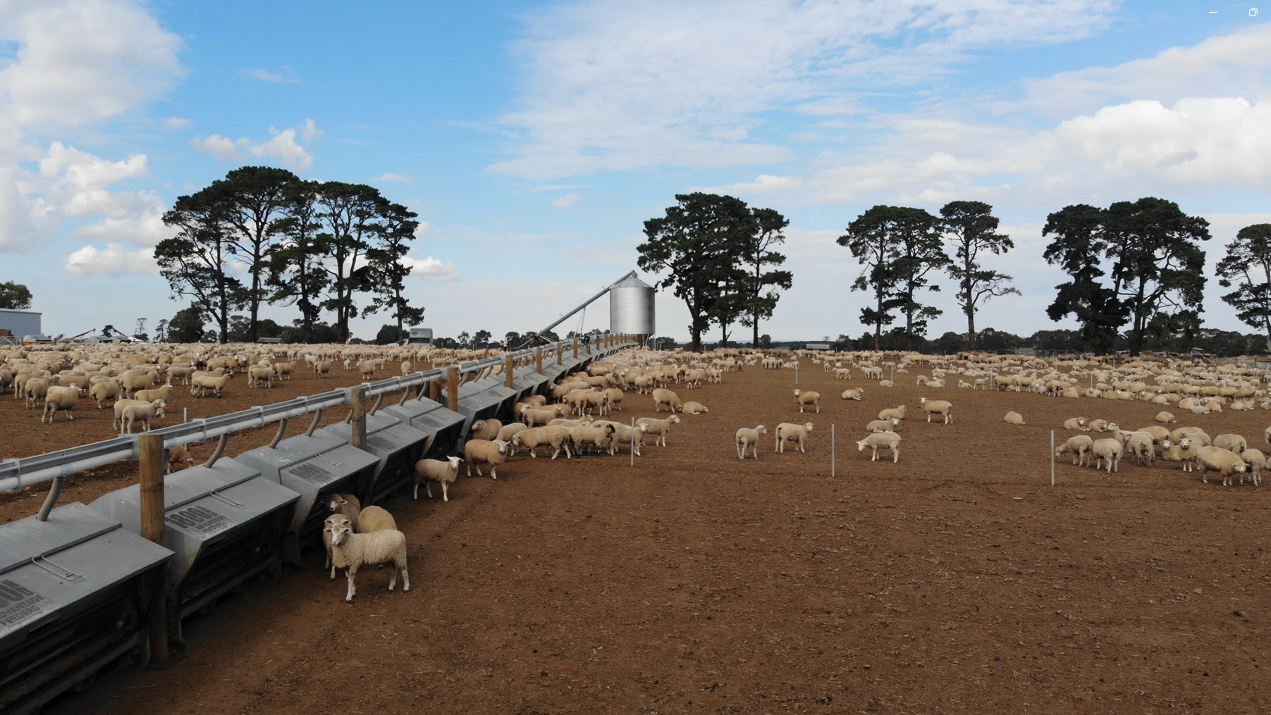 Automated Feedlot - Advantage Feeders