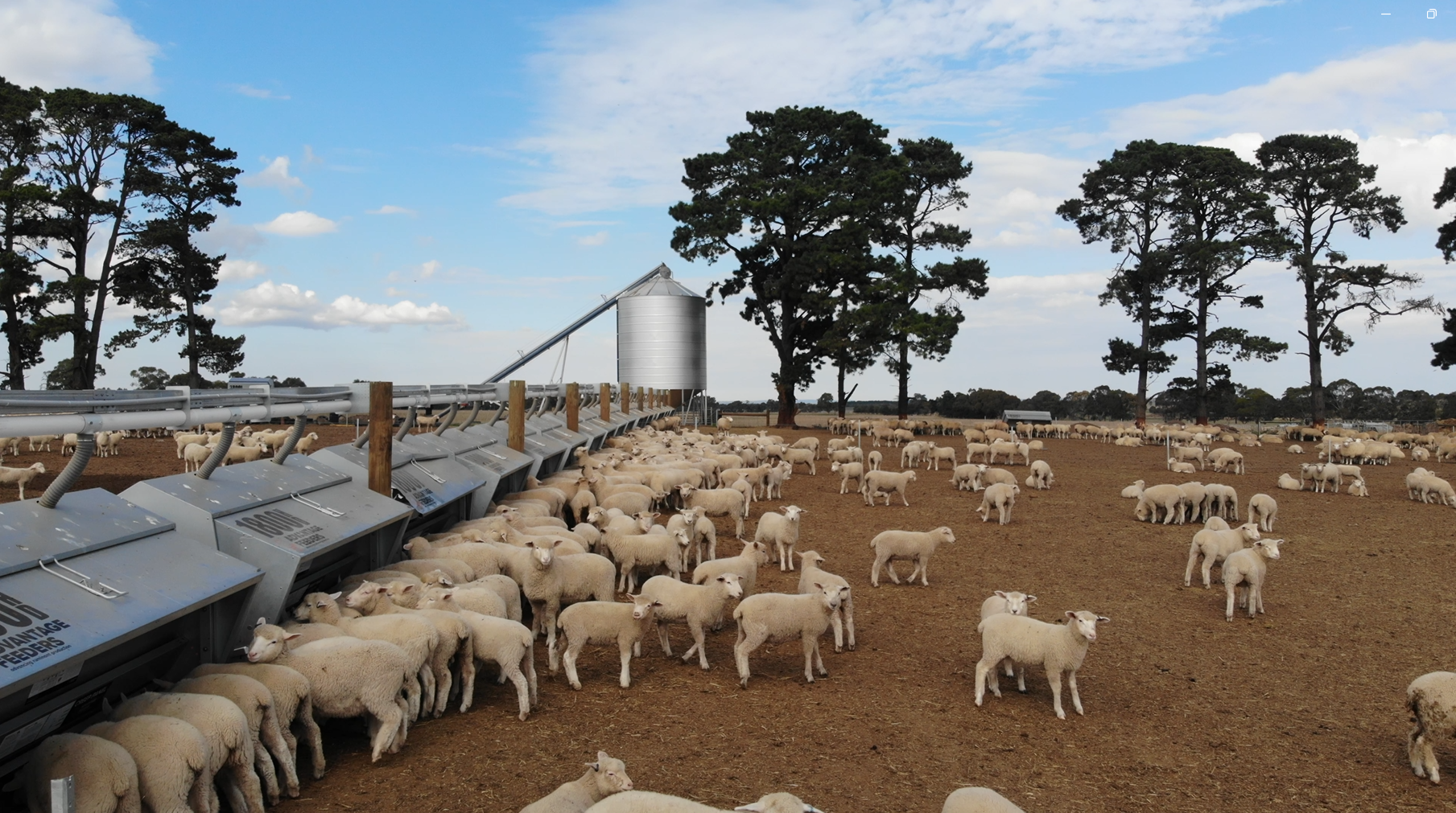 Automated Feedlot - Advantage Feeders