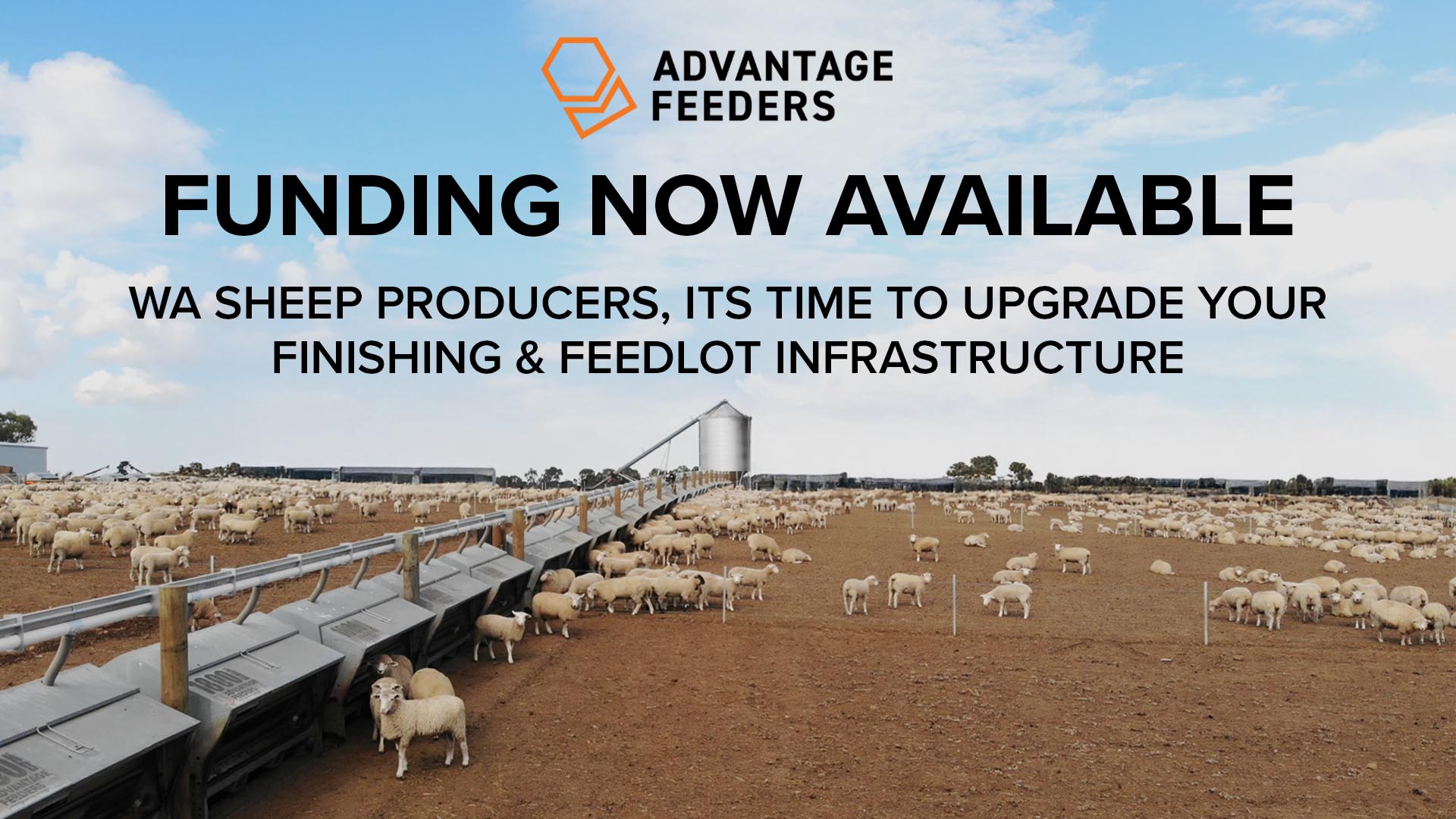 WA Sheep Producers: Funding Now Available!